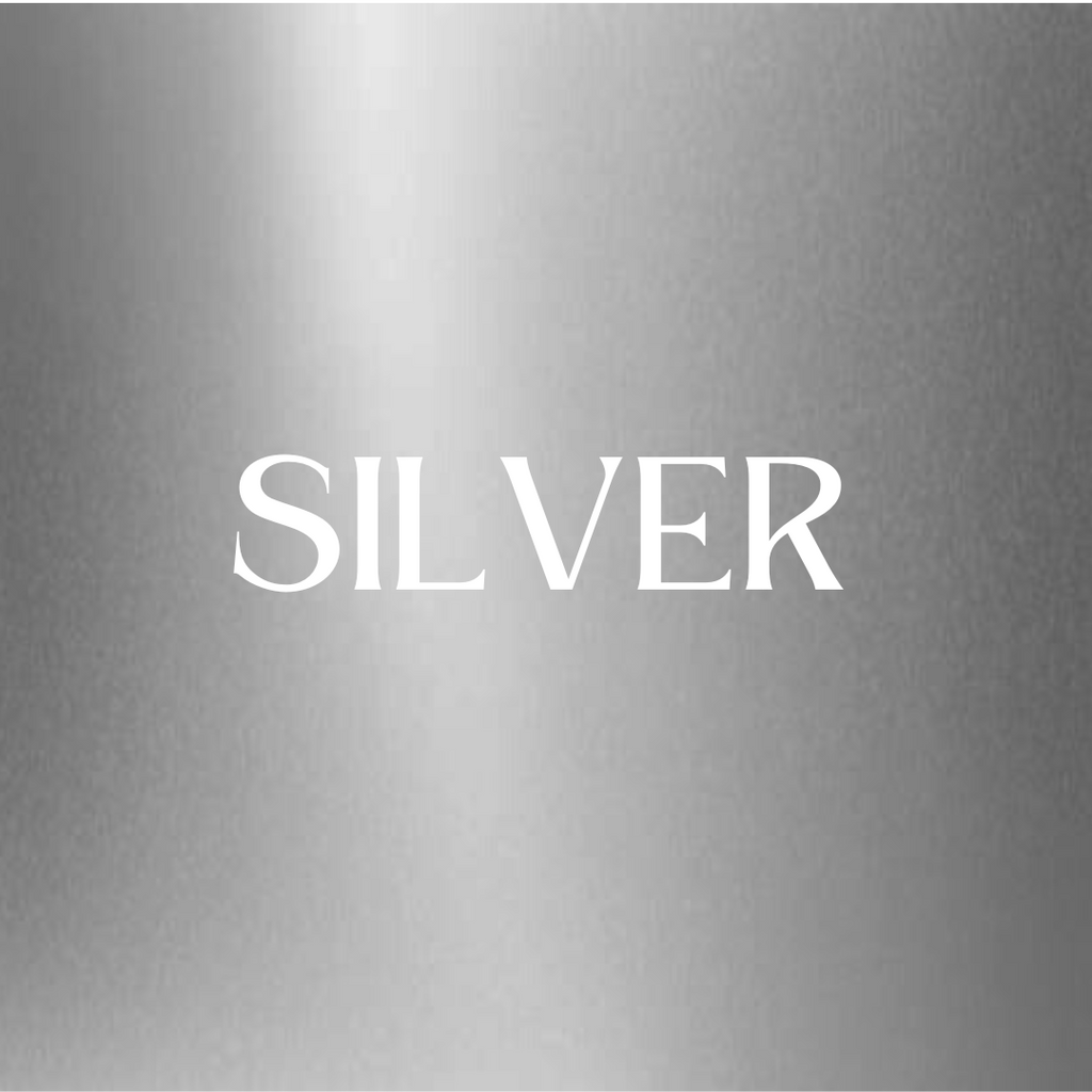 SILVER 1-Day Private Course 1:1 – ICEBABE Hair Extensions